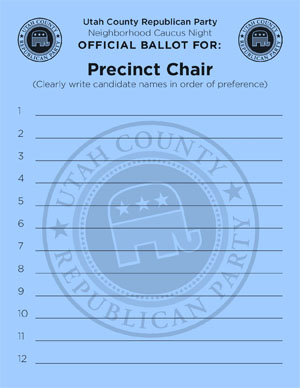 Precinct Member Information – Precinct Portal